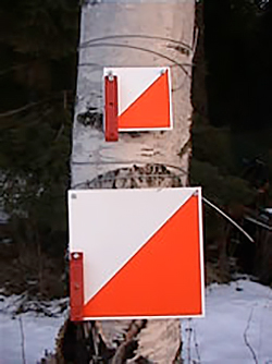 ORIENTERINGSSKÄRM FIDO-MINI